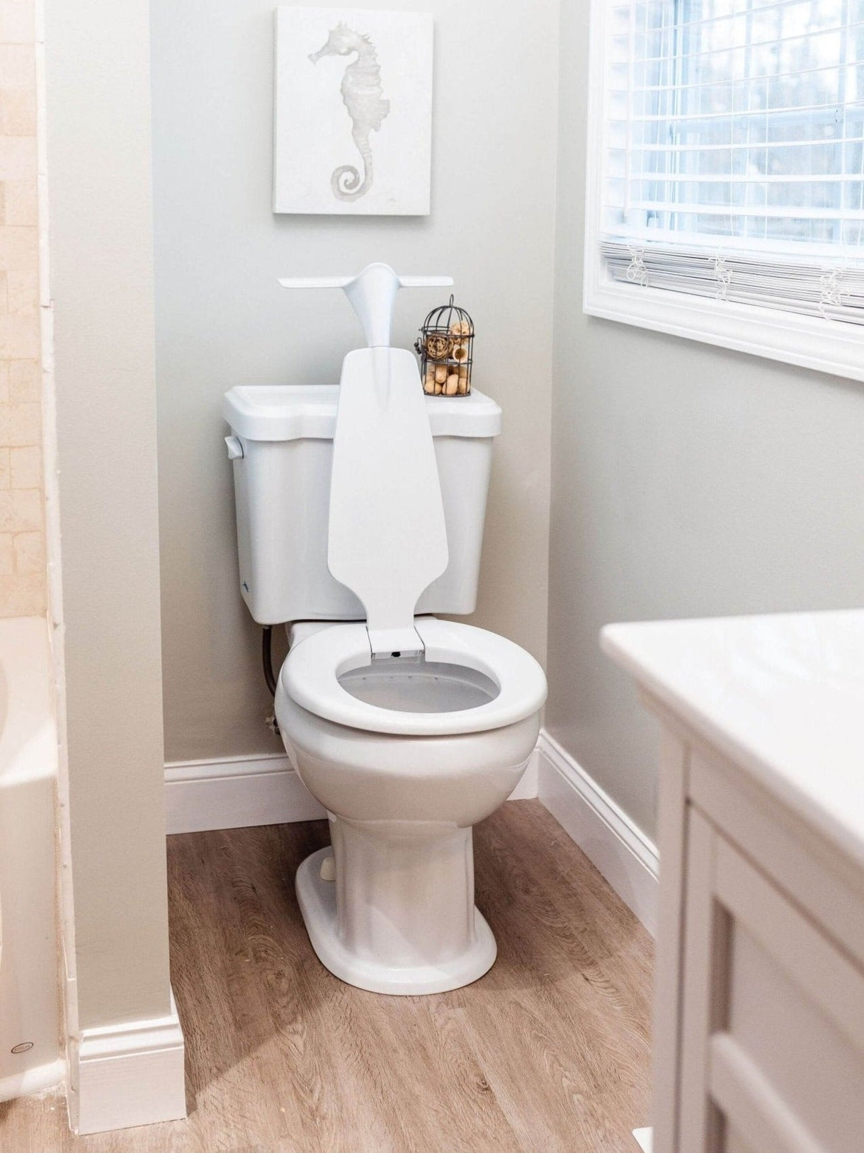 Medical Urinal Toilets: A Complete Guide for Home and Hospital Care ...